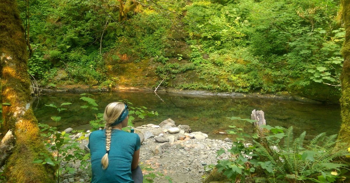Snag and Rock Creeks | Explore the Pacific Crest Trail